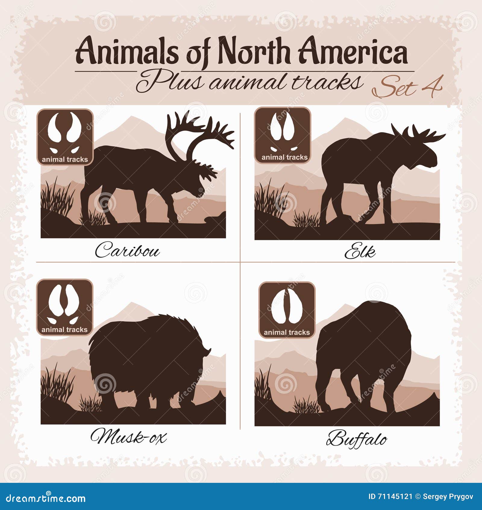 North America Animals and Animal Tracks, Footprints. Stock Vector ...