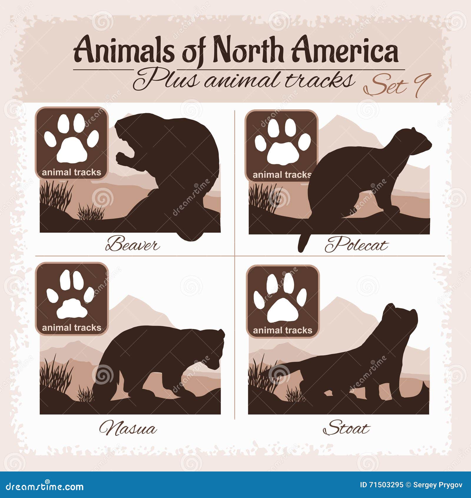 Stoat Tracks Black Footprints Vector Illustration | CartoonDealer.com ...