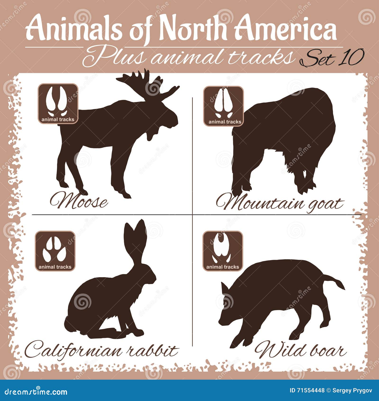North America Animals and Animal Tracks, Footprints. Stock Vector ...