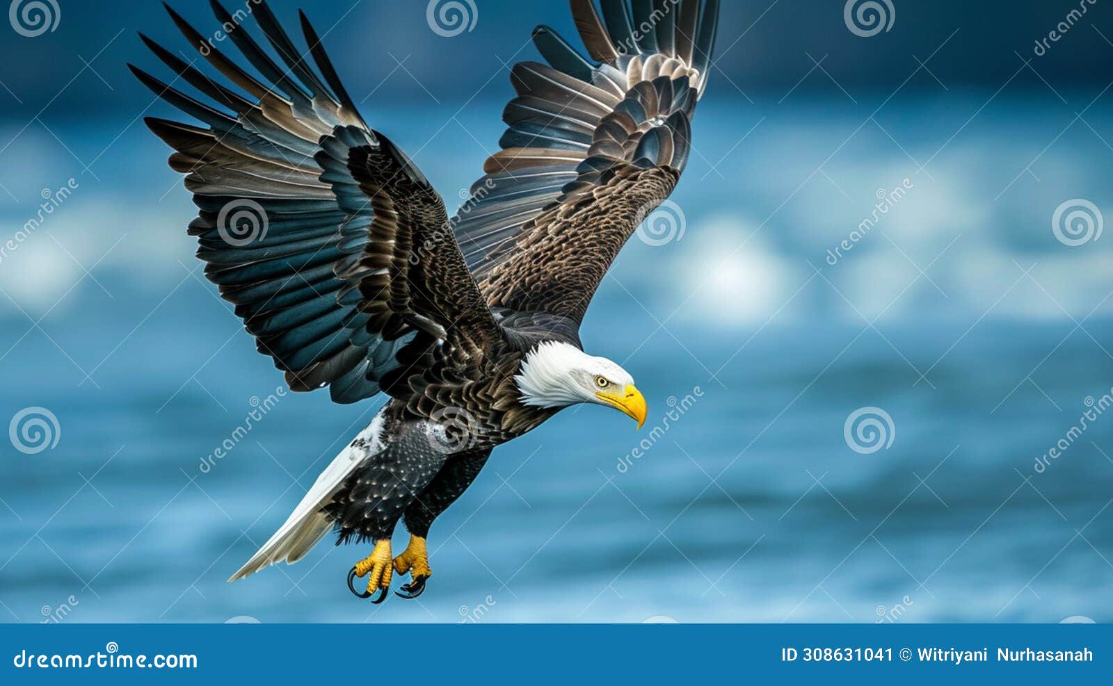 North American Bald Eagle in Mid Flight, on the Hunt . Generative Ai ...