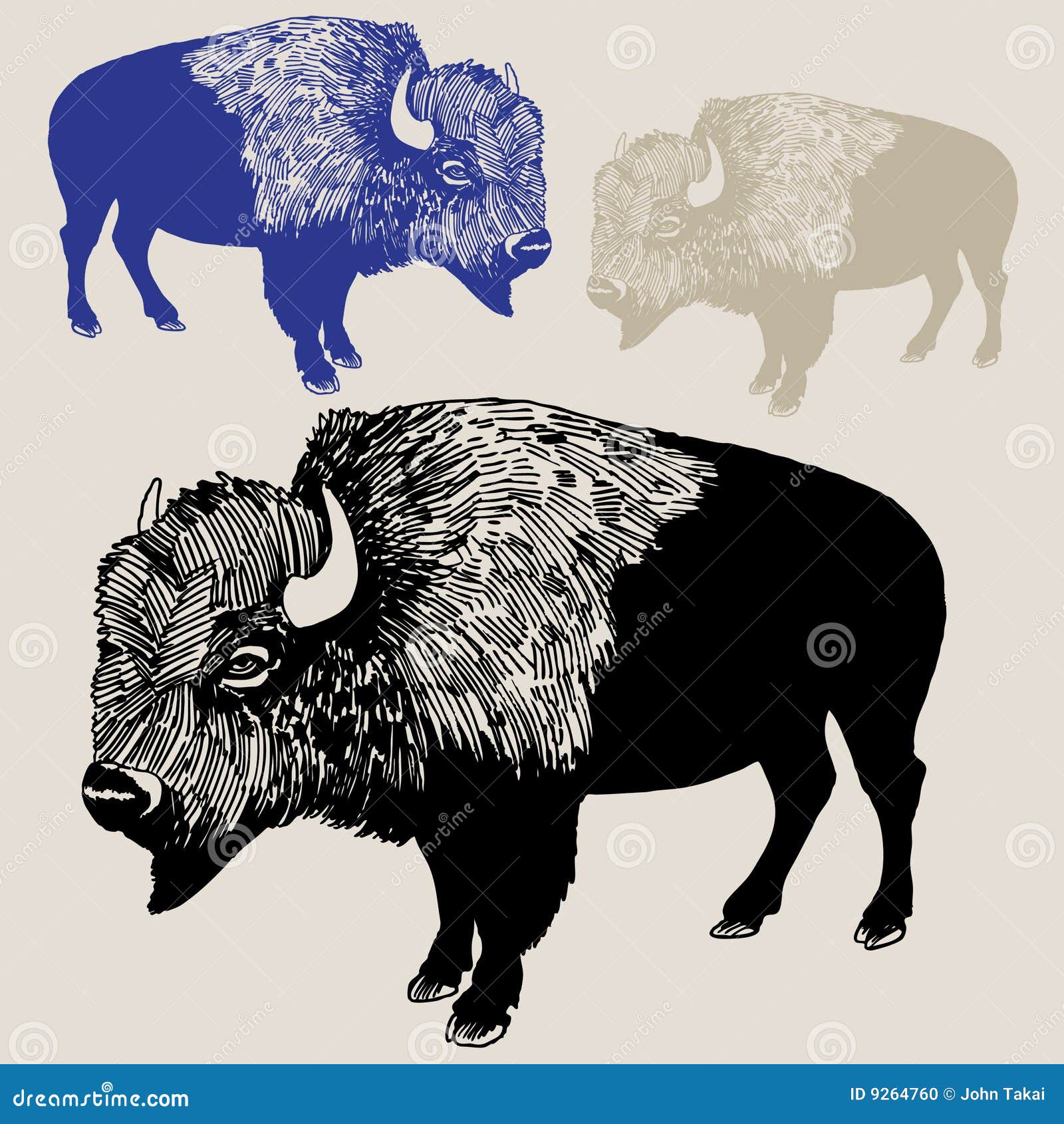 Bison Vector Illustration | CartoonDealer.com #56183400