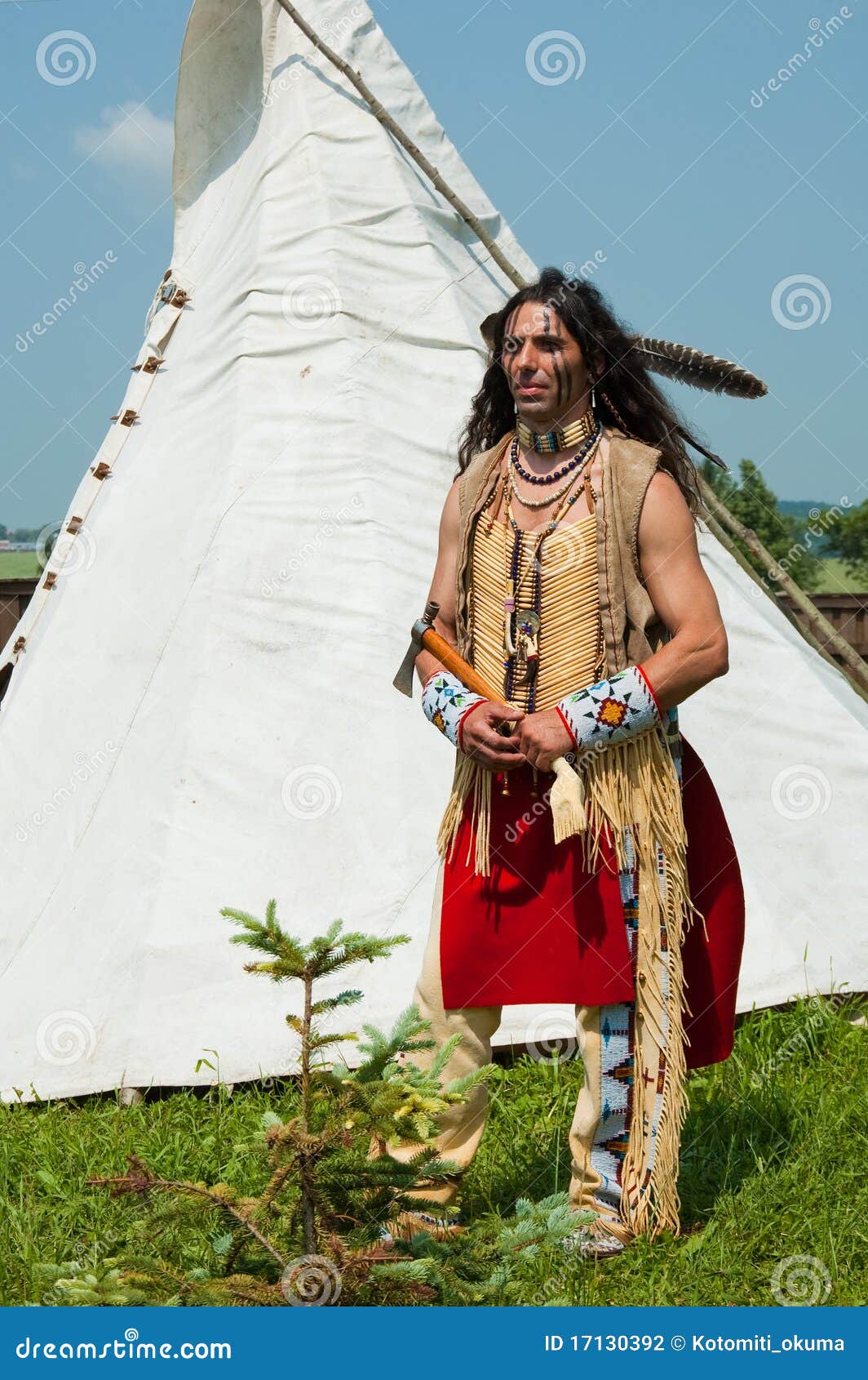 North American Indian stock photo. Image of indian, dress - 17130392