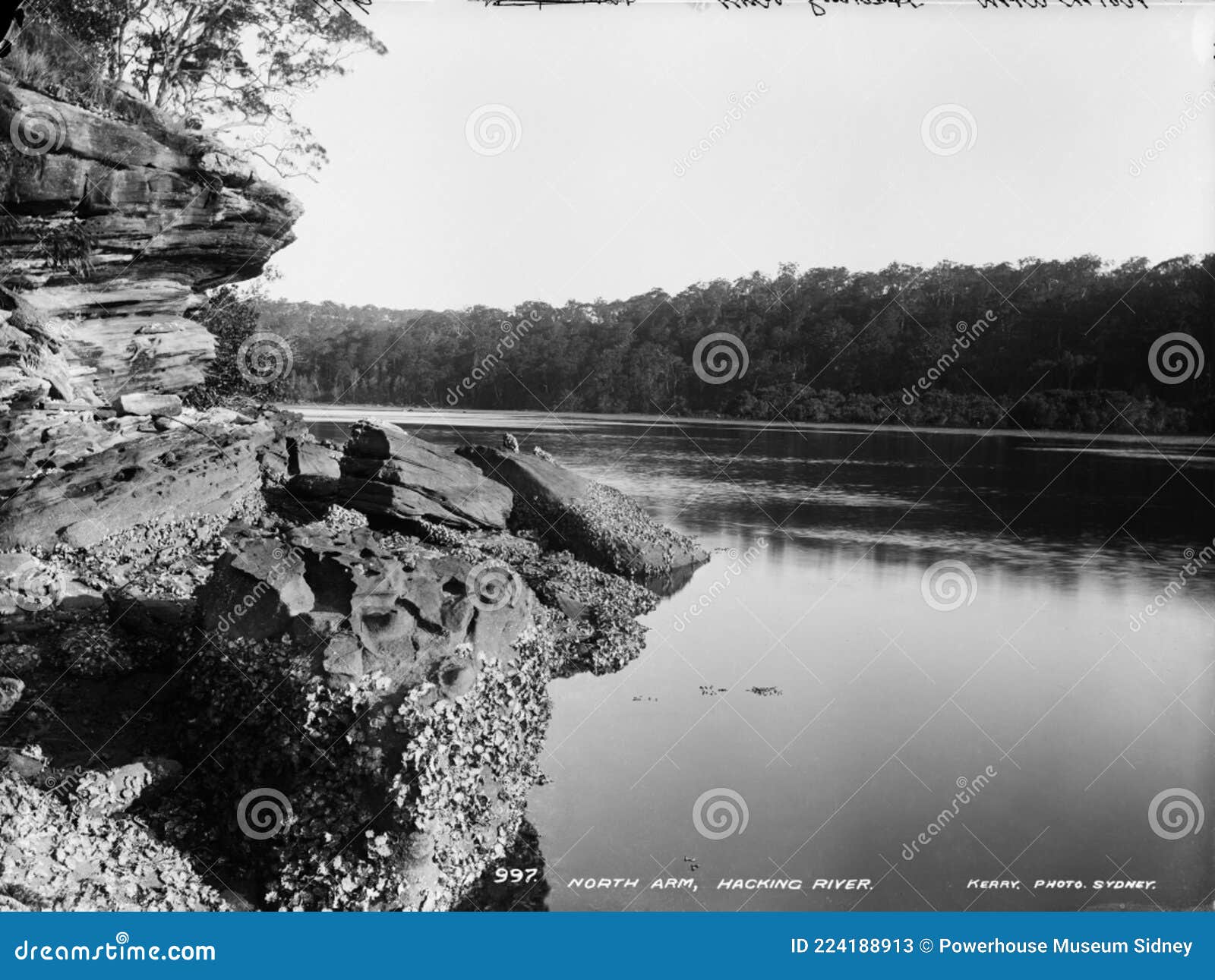 North Arm, Hacking River, National Park Picture. Image: 224188913