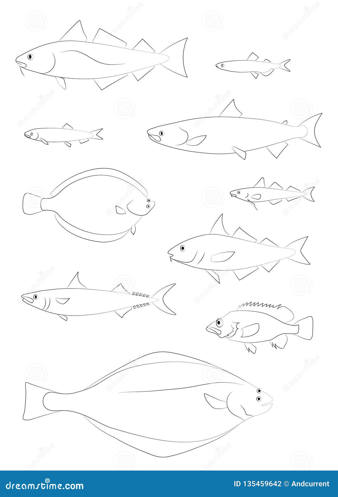 Atlantic Cod Fish Drawing Vector Illustration | CartoonDealer.com #85655126