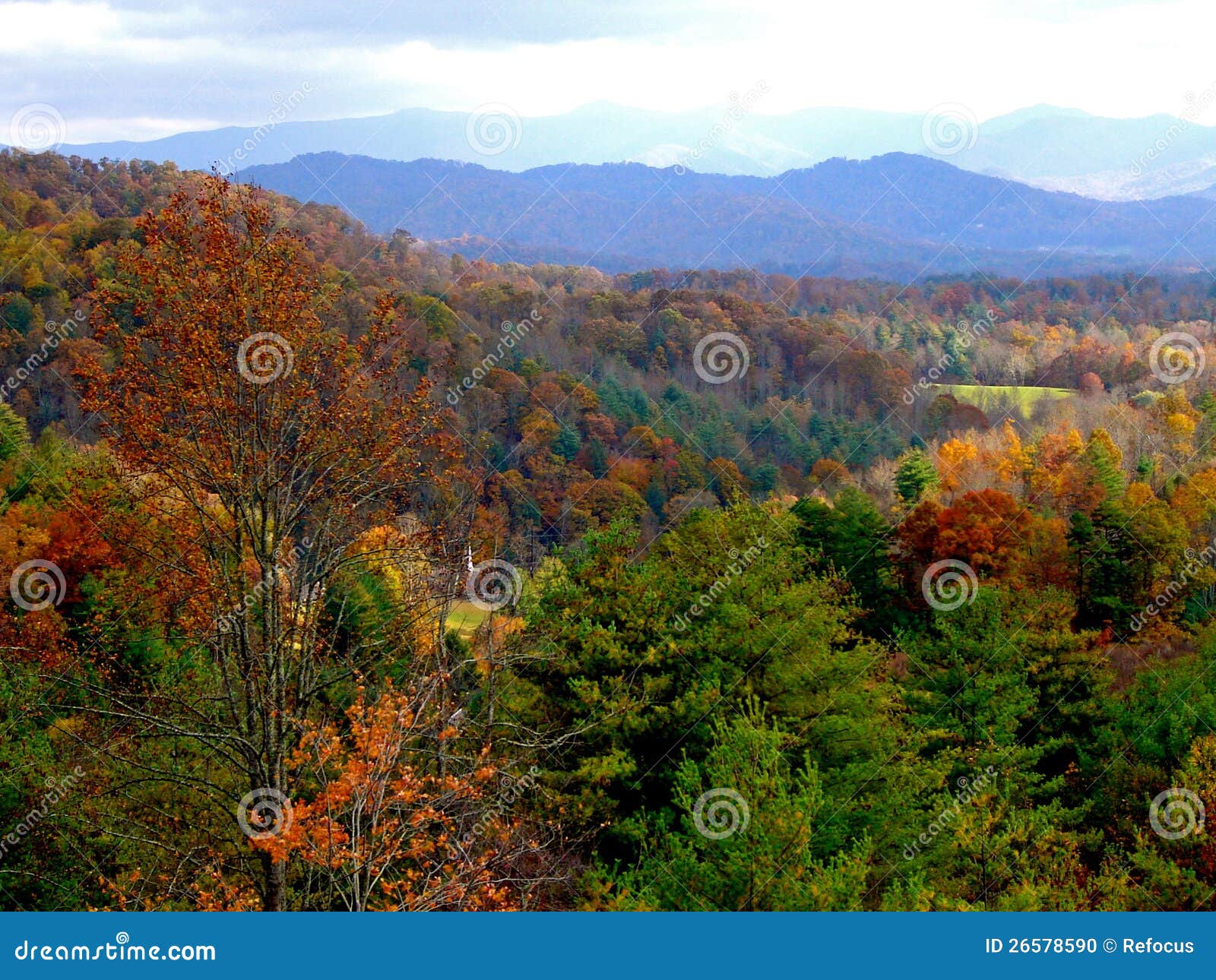 North Carolina in the Fall stock photo. Image of seasons - 26578590
