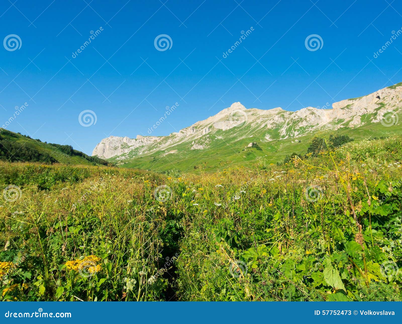 North Caucasus stock image. Image of forest, caucasus - 57752473