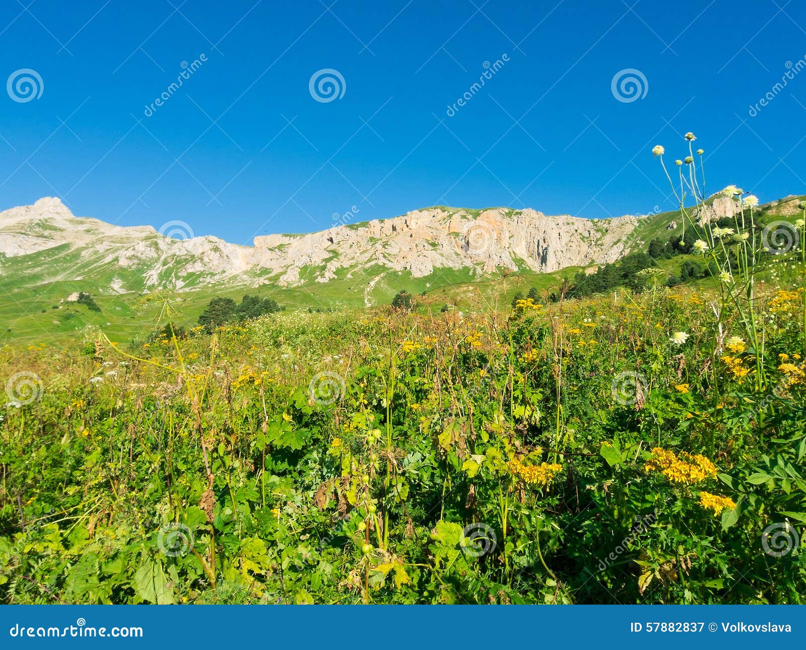 North Caucasus stock image. Image of green, beauty, majestic - 57882837