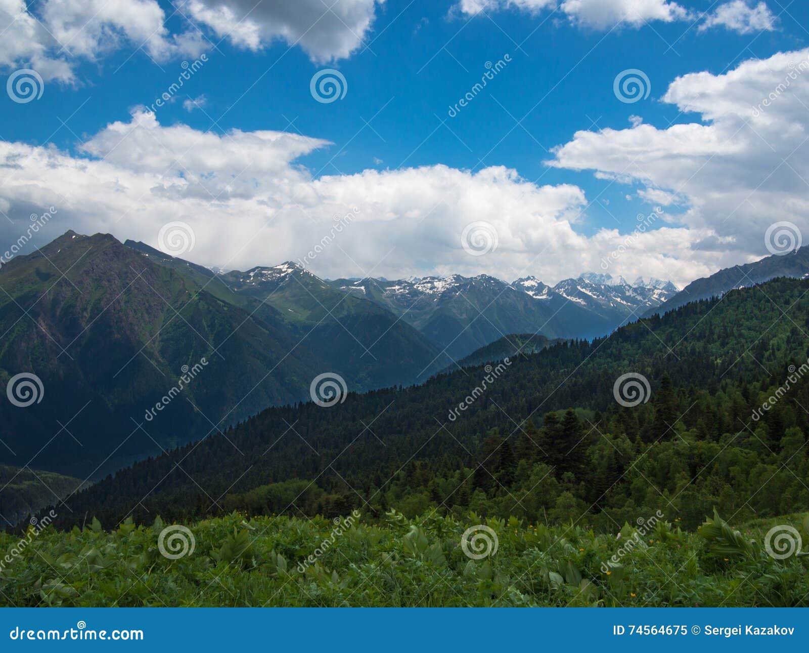 North Caucasus Mountains and Woods Stock Image - Image of earth, arkhyz ...