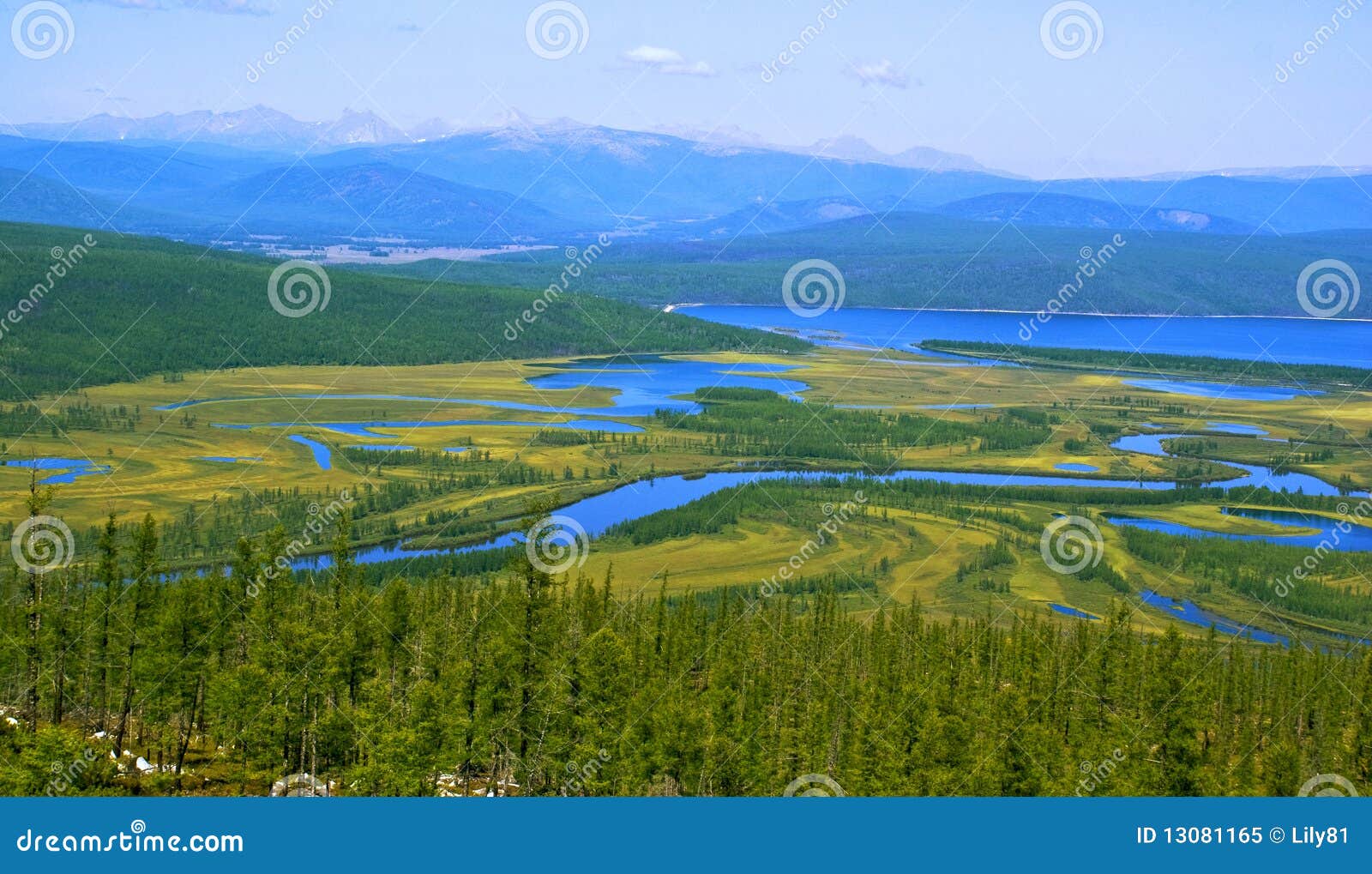 North Delta stock image. Image of green, river, sunlight - 13081165