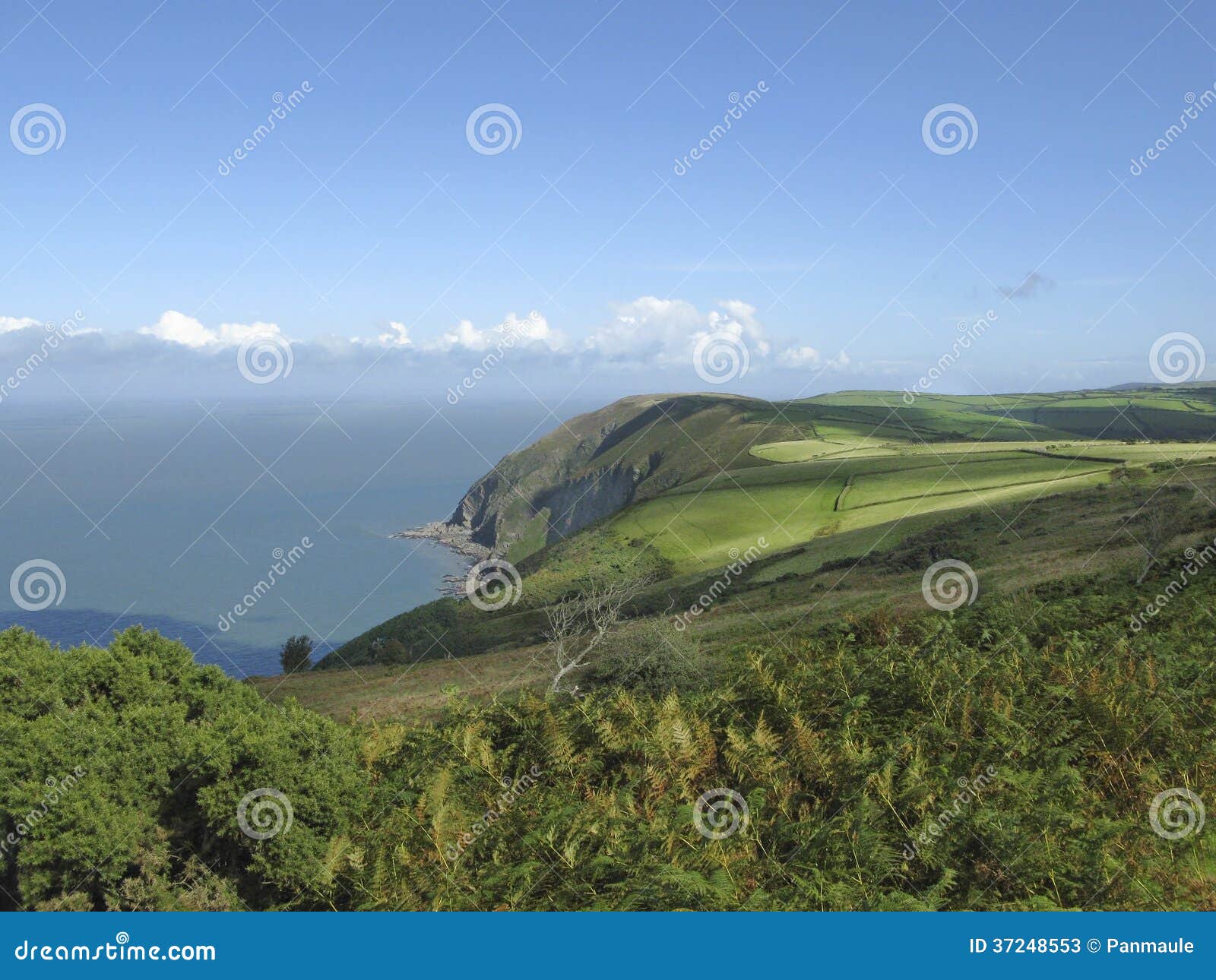 North Devon Cliffs and Fields Stock Image - Image of rugged, trails ...