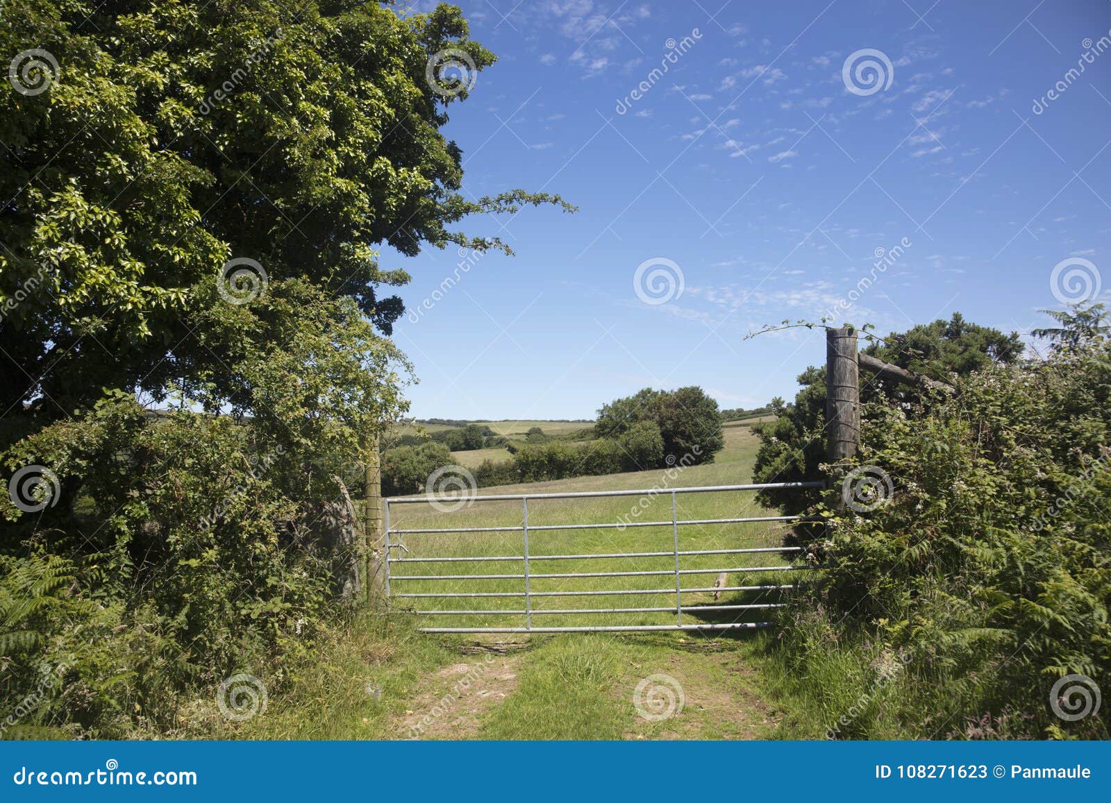 North Devon Farm Gate and Fields Stock Image - Image of scenic ...
