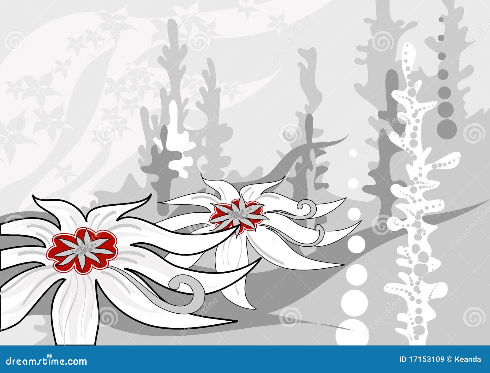 North flowers stock image. Image of nature, background - 17153109