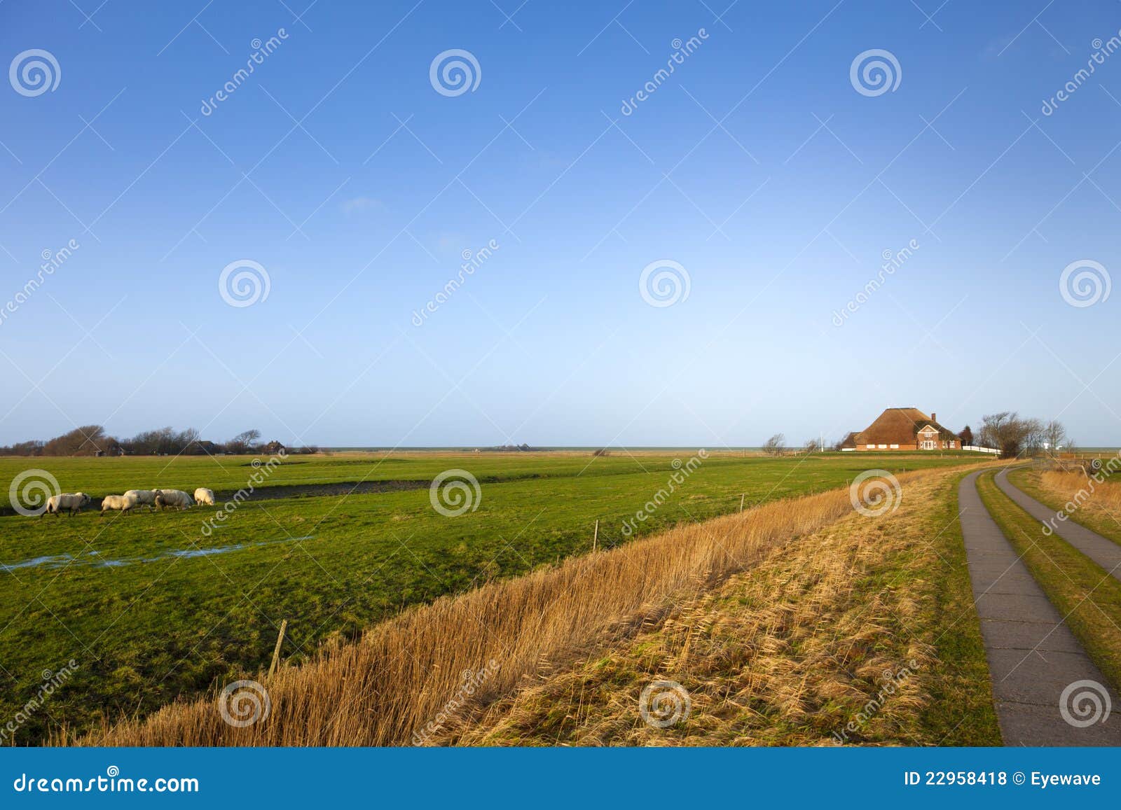 North Frisia Landscape stock photo. Image of horizon - 22958418