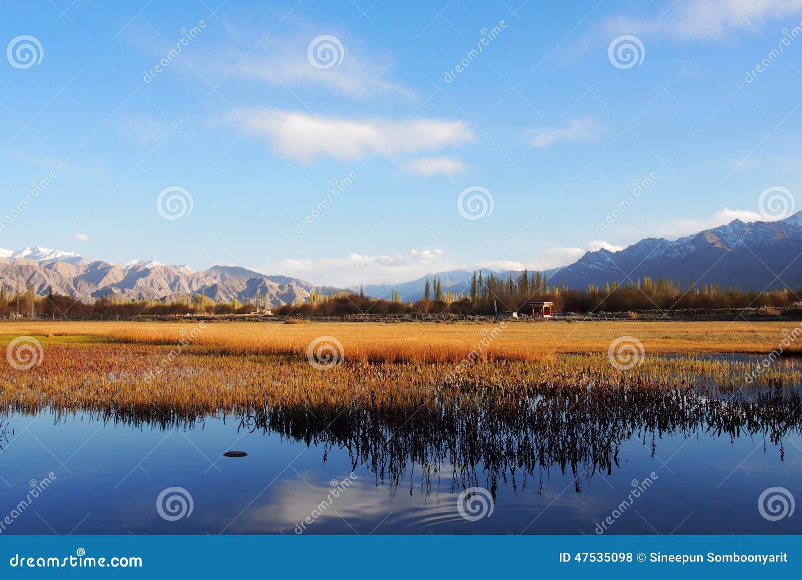 North India landscape stock photo. Image of field, road - 47535098