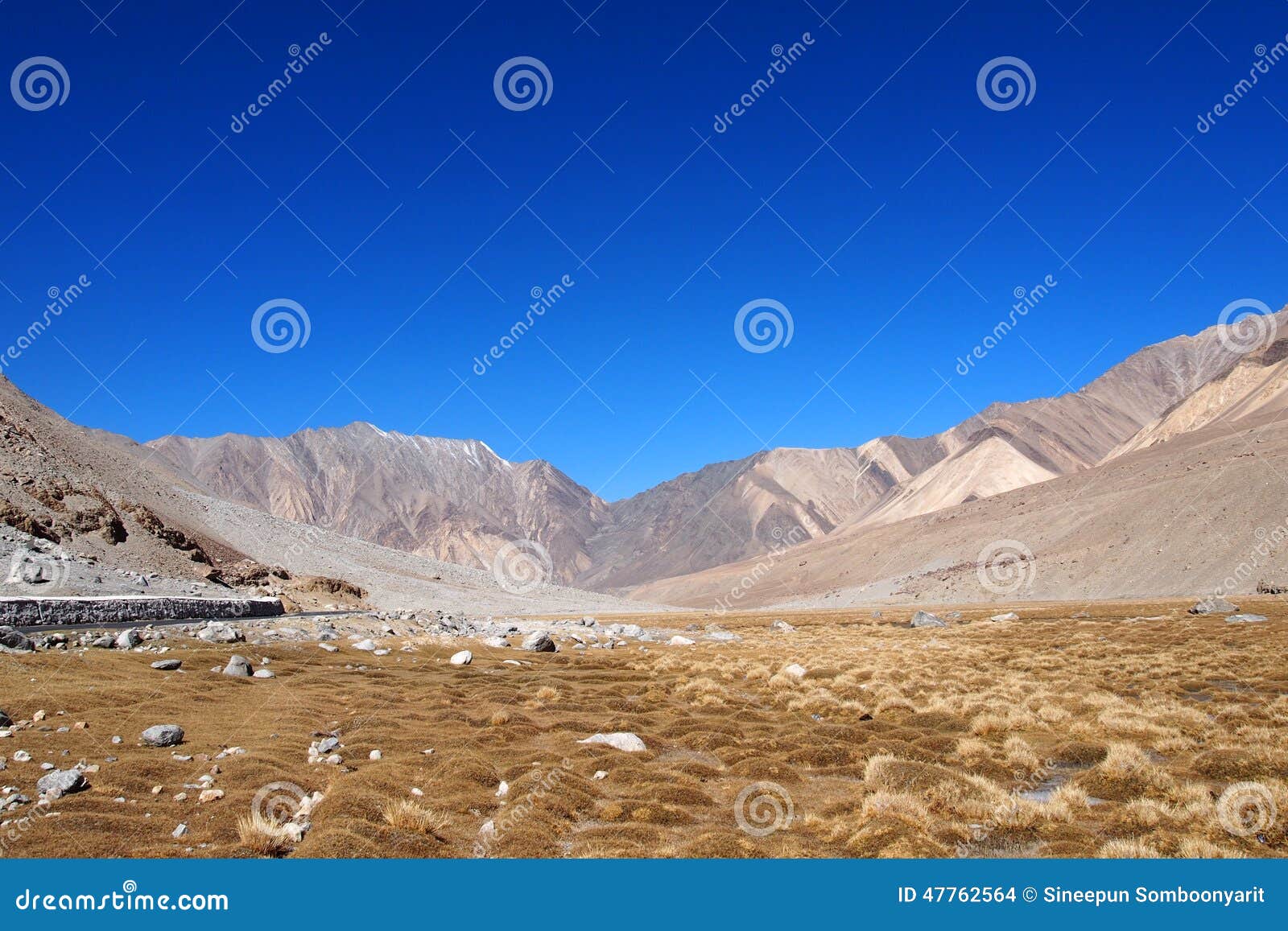 North India landscape stock photo. Image of tree, calm - 47762564