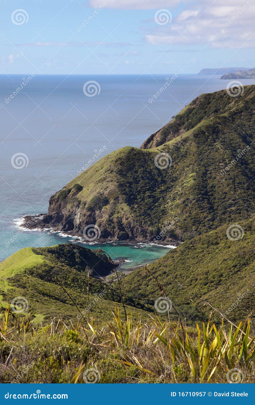North Island Coast stock image. Image of north, cove - 16710957