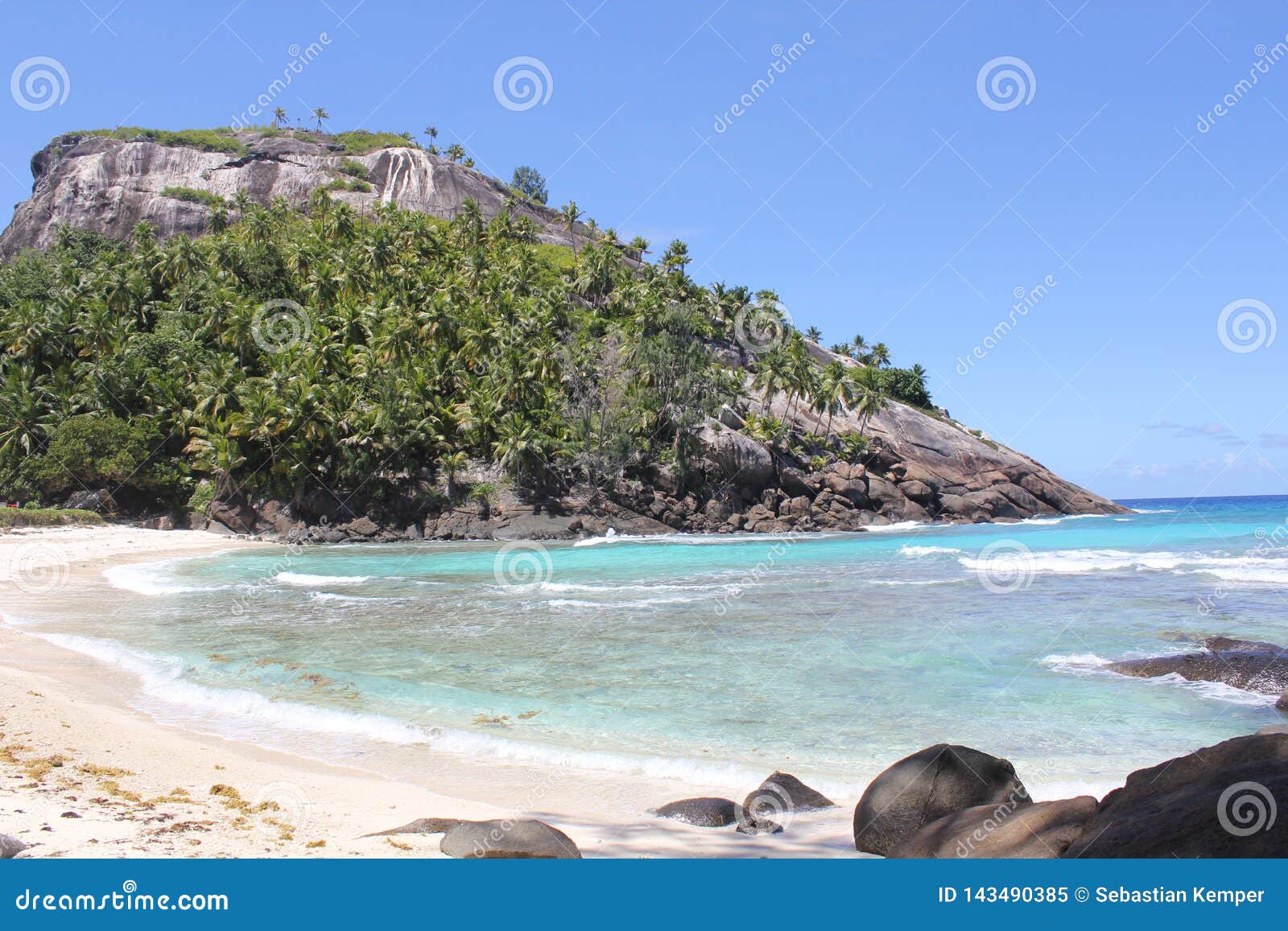 North Island Seychelles Beach Palm Stock Image - Image of island, beach ...