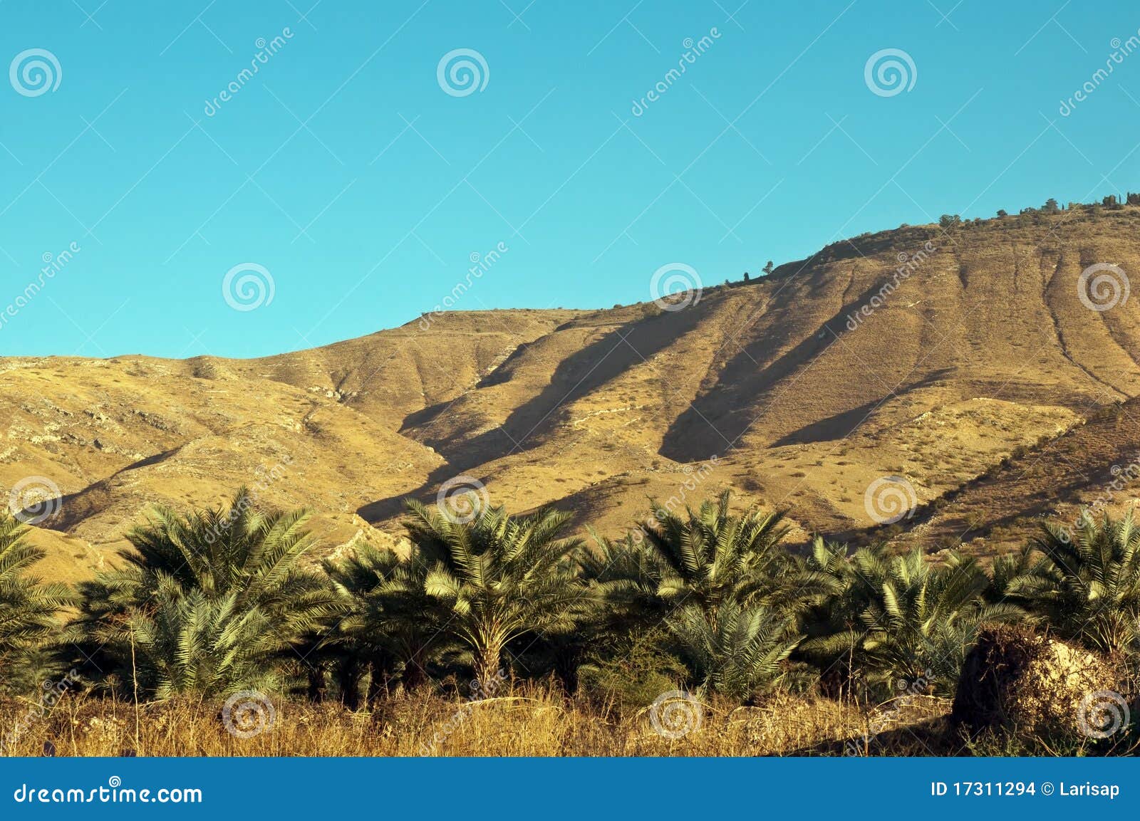 North Israel . stock photo. Image of beauty, israel, mountain - 17311294