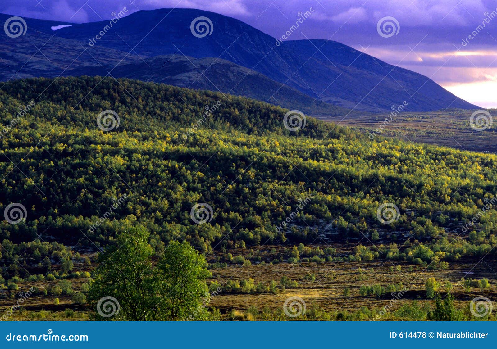 North land stock photo. Image of amaze, fall, clouds, appealing - 614478