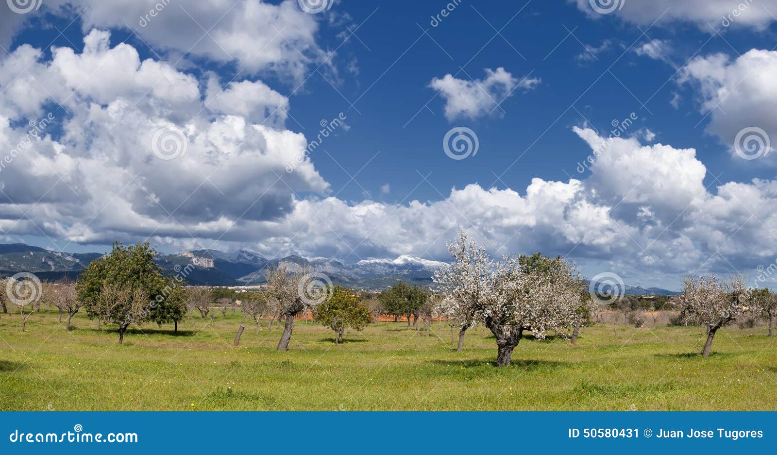 North of majorca stock image. Image of islands, typical - 50580431