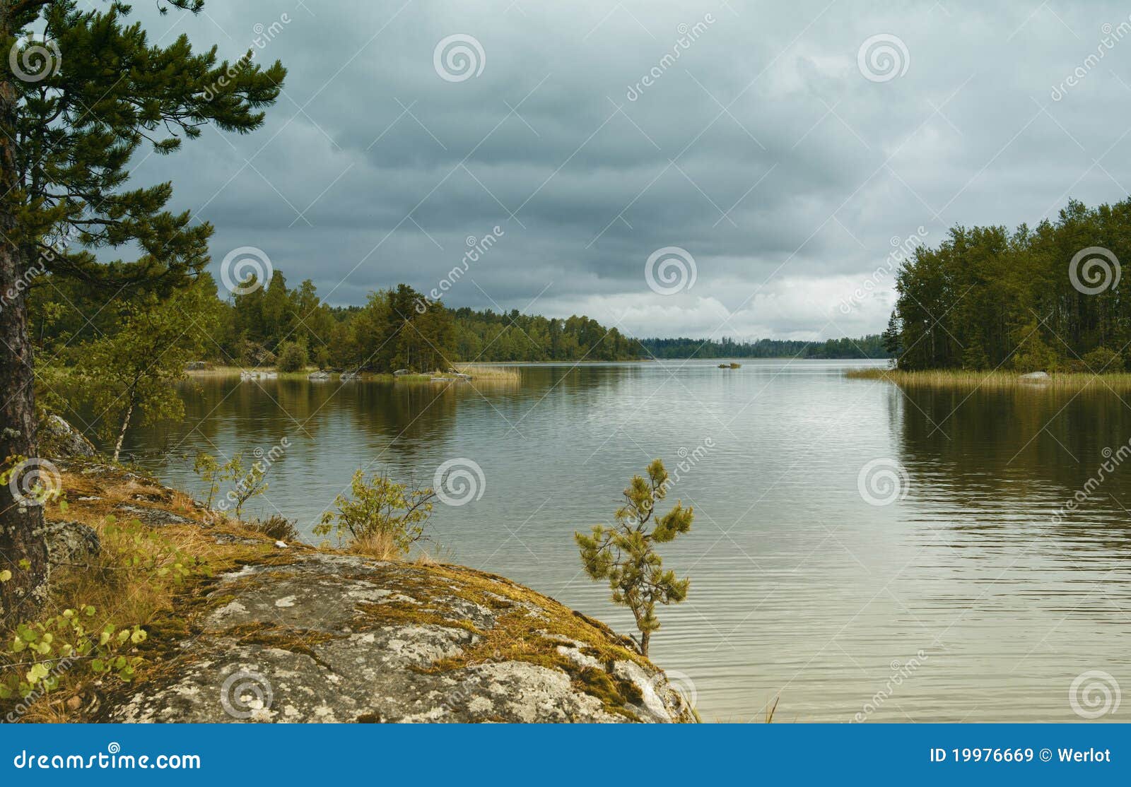 The north nature stock image. Image of moody, freshness - 19976669