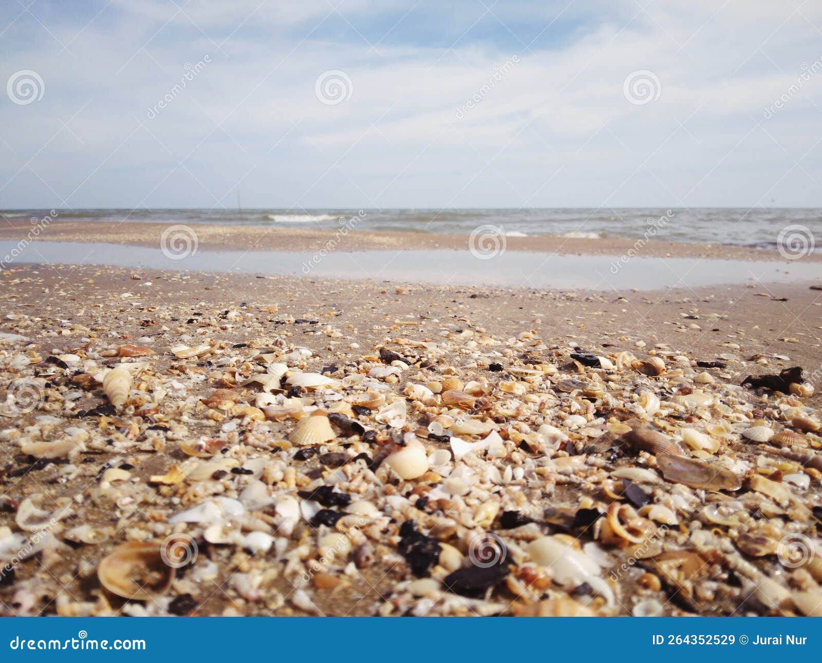 North Penajam Paser, Indonesia December 18, 2022, these are Various ...