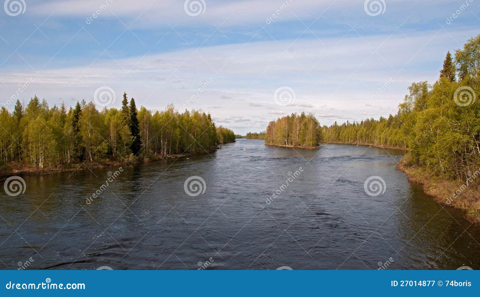 North of Russia. Rivers. 001 Stock Image - Image of sunny, tree: 27014877