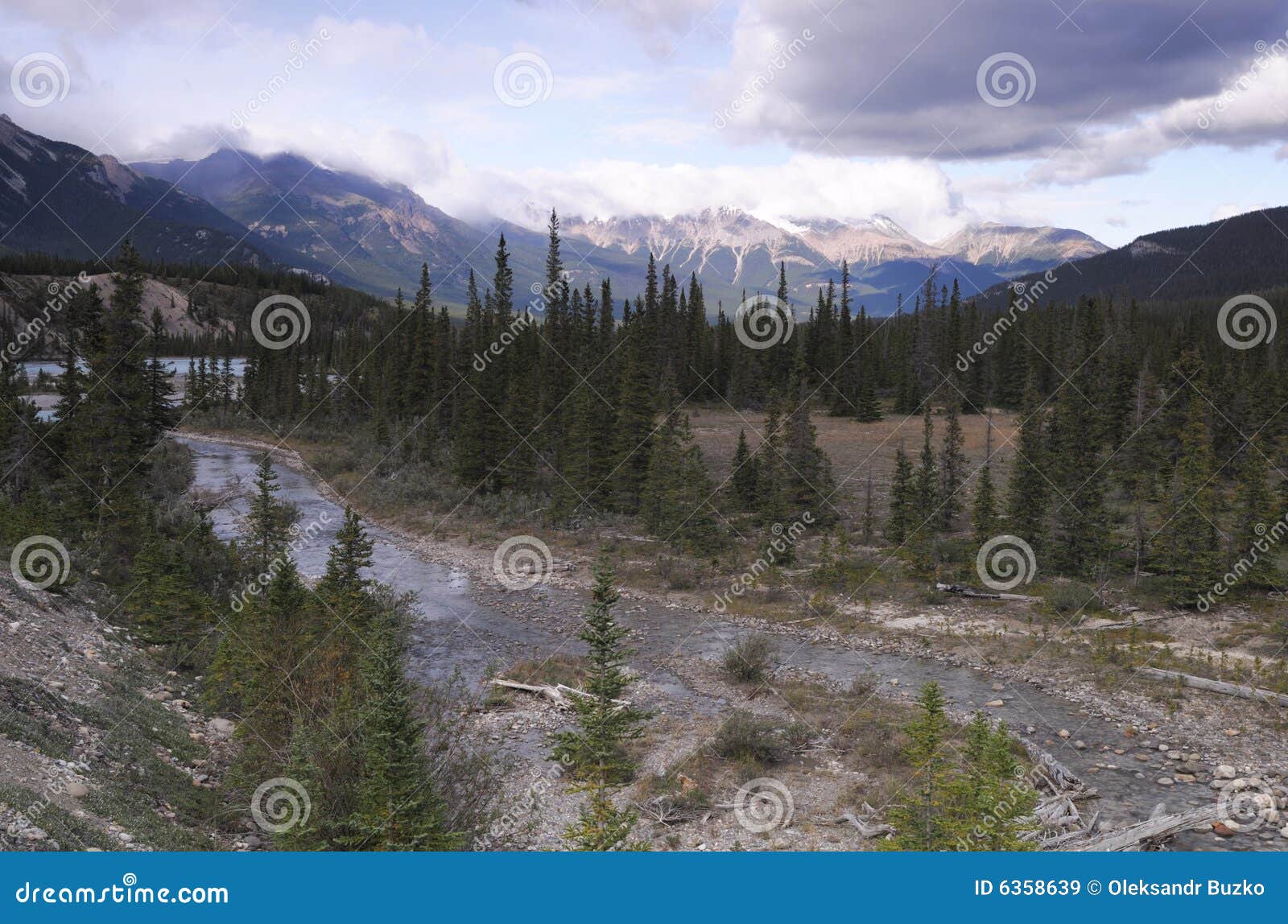 North Saskatchewan River in Canadian Rockies Stock Image - Image of ...