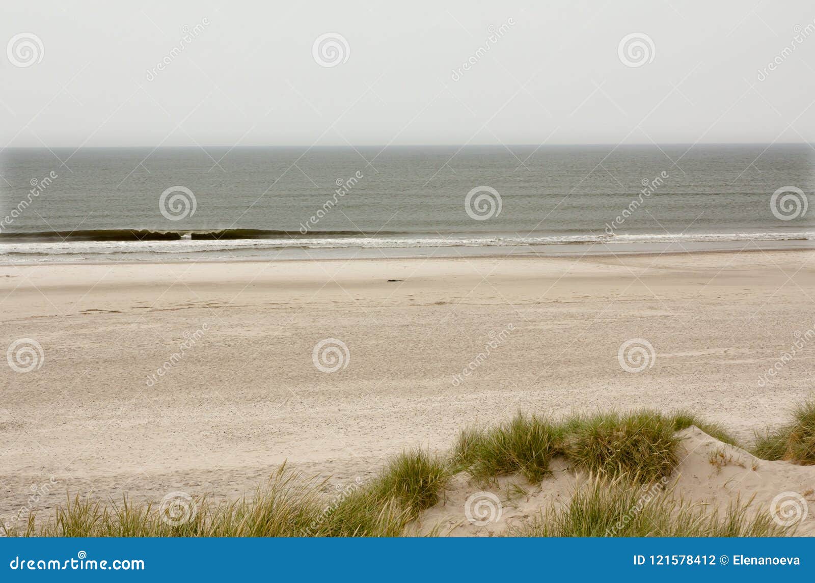 North Sea Beach in Denmark. Dune Grass. Stock Photo - Image of seaside ...