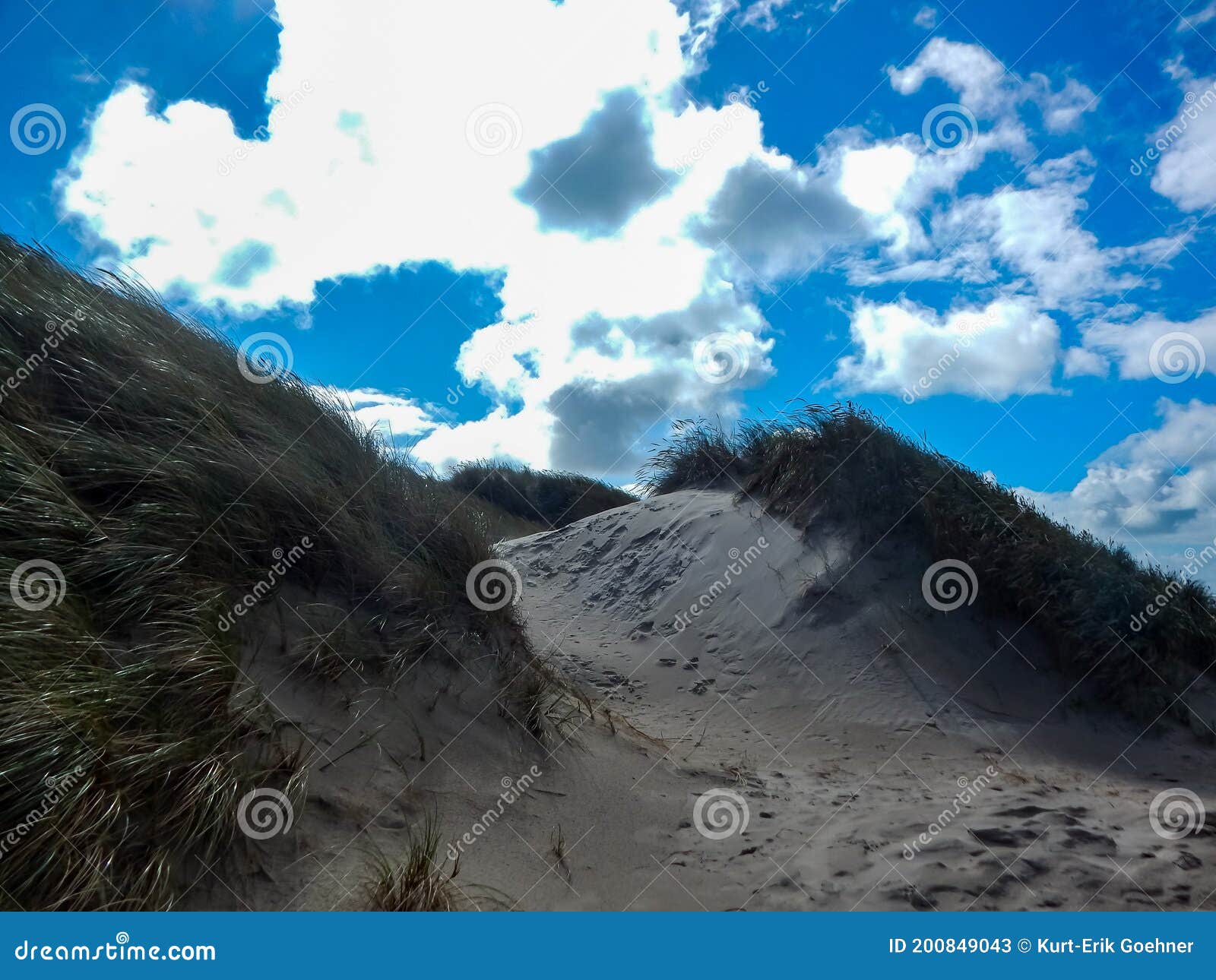 On the North Sea Beach in Denmark Stock Image - Image of ridge, nature ...
