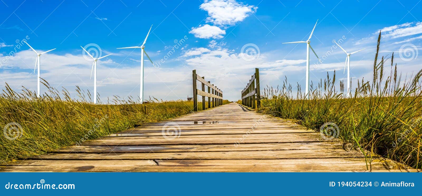 North Sea Wind Farm with Bridge Stock Photo - Image of future ...