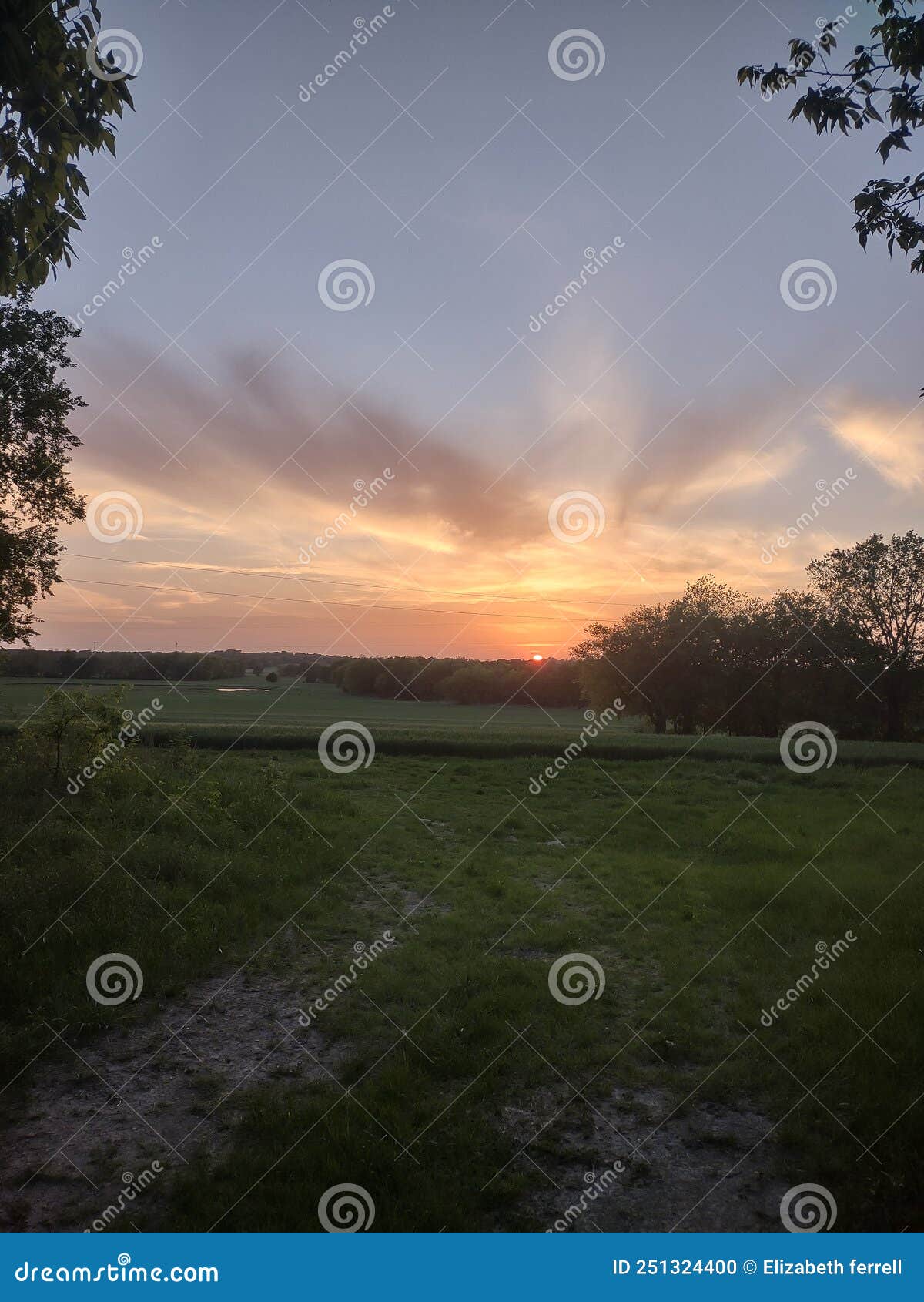 North Texas sunset stock photo. Image of edge, tree - 251324400
