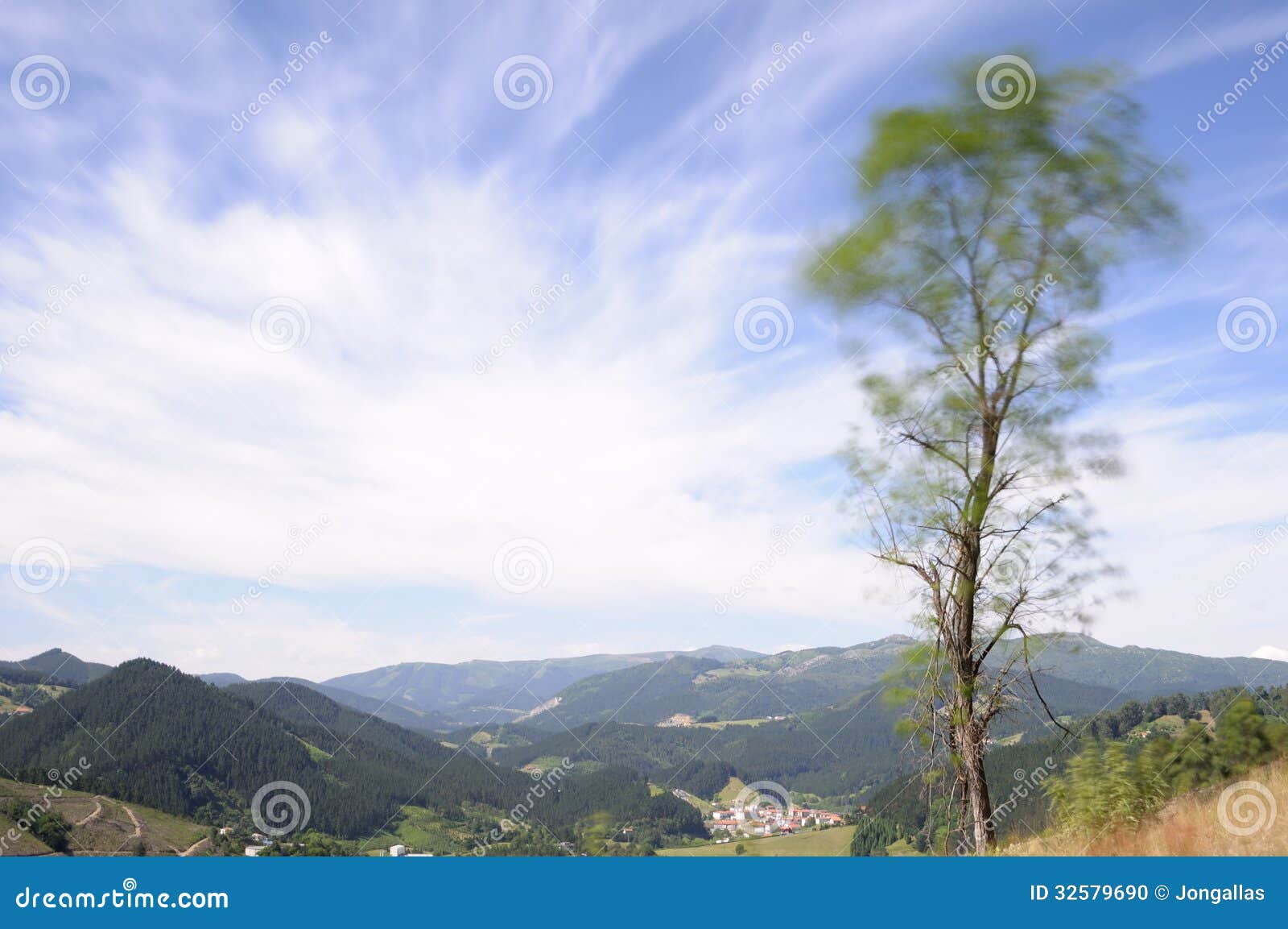 North wind stock photo. Image of weather, clouds, tree - 32579690