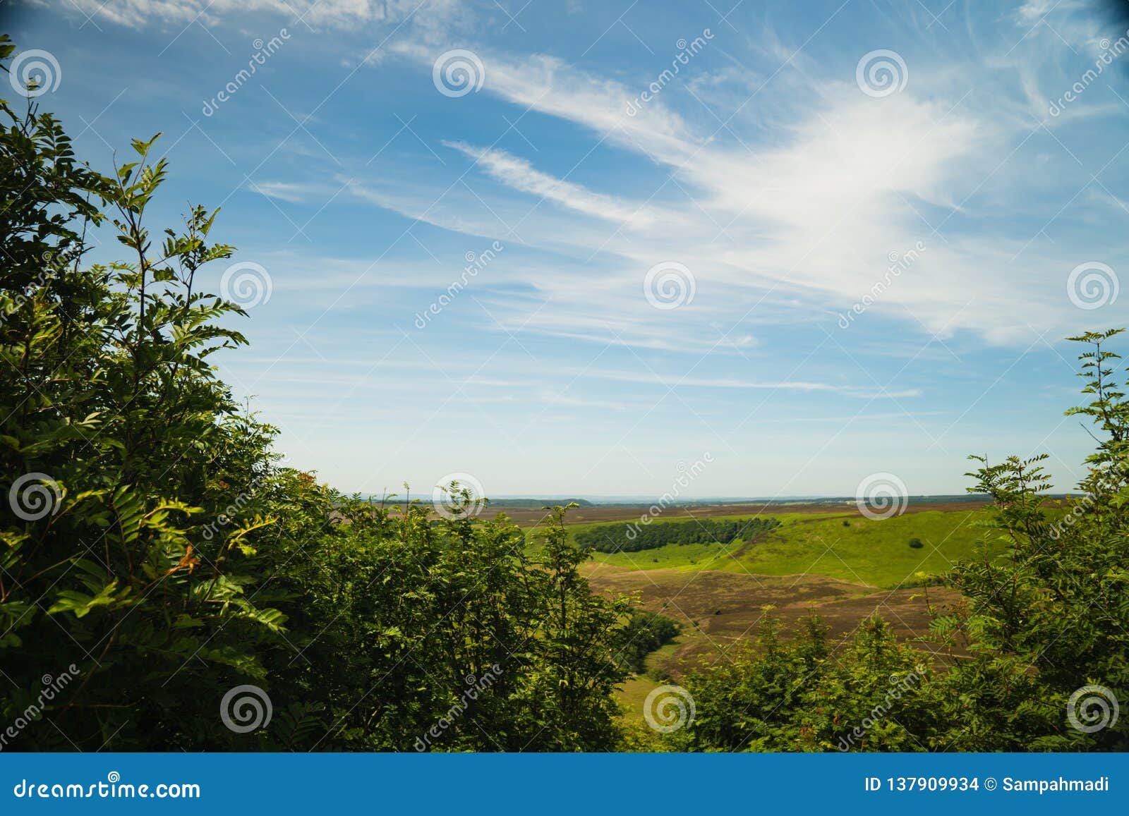 North Yorkshire Moors in England Stock Photo - Image of nature, natural ...