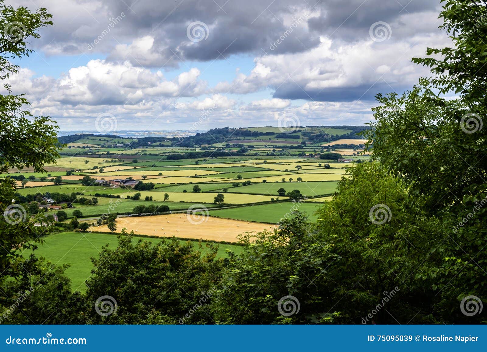 North Yorkshire Rural Landscape Stock Image - Image of dull, farming ...