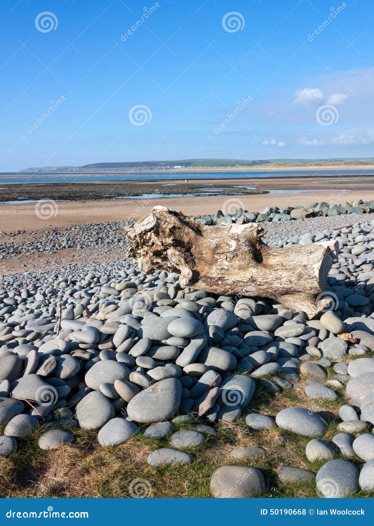Northam Beach Devon stock photo. Image of ocean, outdoors - 50190668