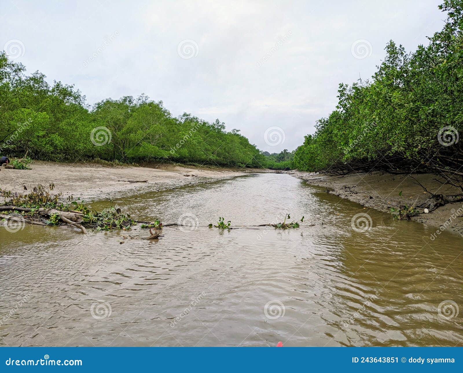Borneo Rivers Stone Indonesia White Royalty-Free Stock Photo ...