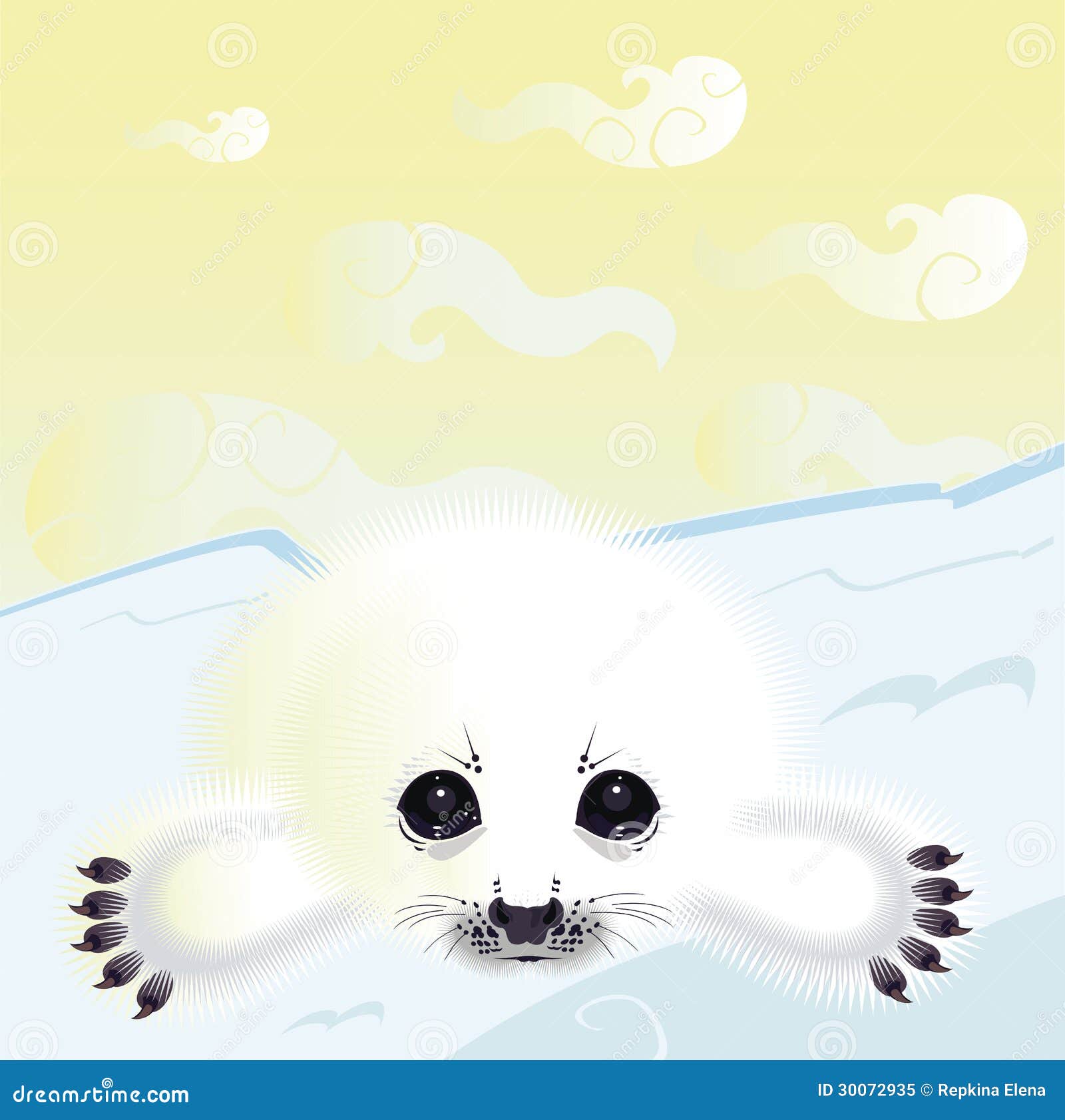 Snow seal stock vector. Illustration of pinnipeds, protection - 30072935