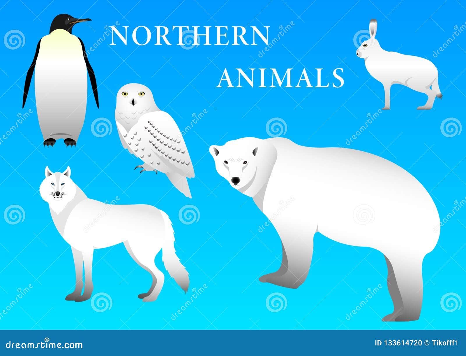 Polar Fox, Northern Fox. Vector Illustration | CartoonDealer.com #116826934