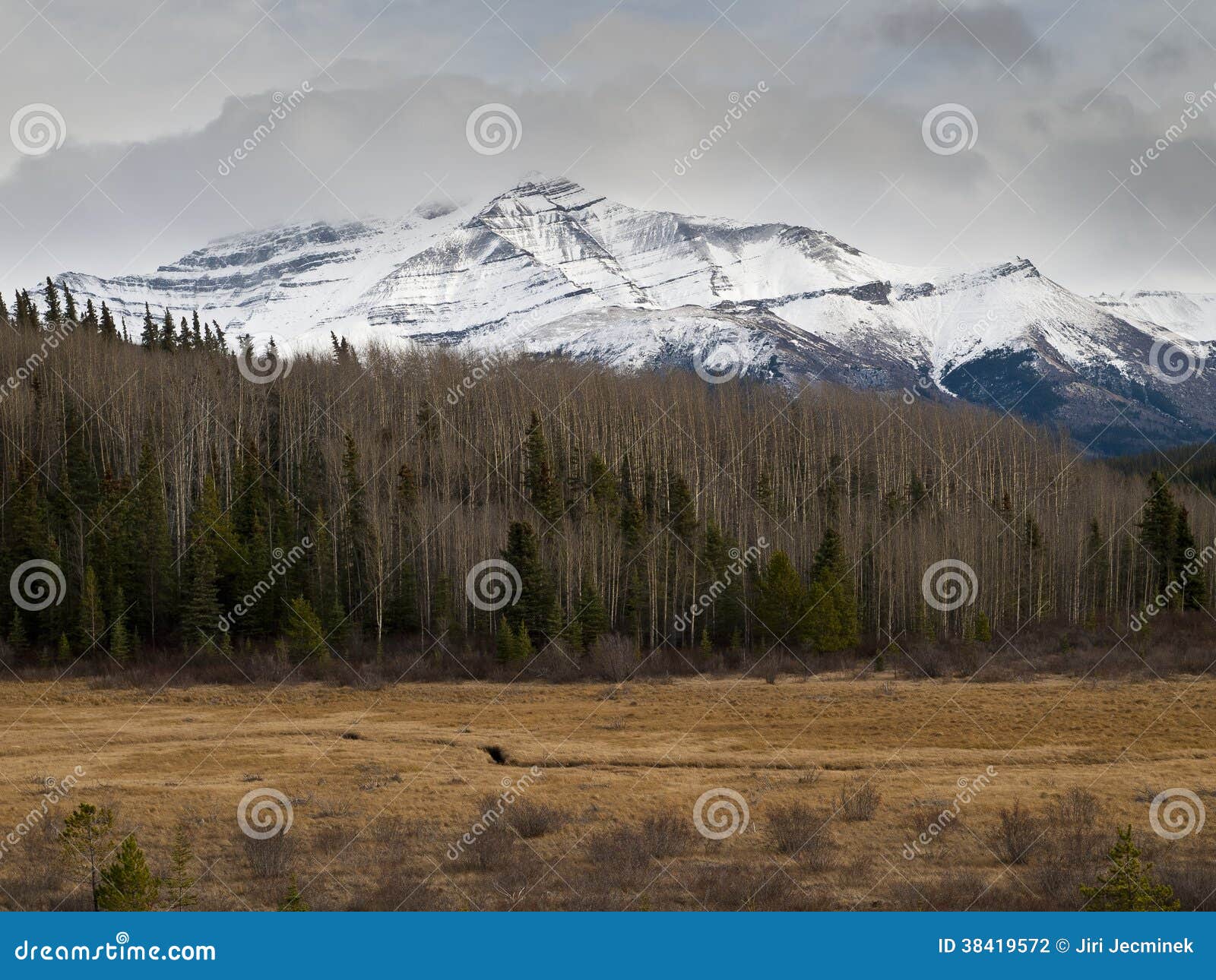 Northern British Columbia stock photo. Image of mountains - 38419572