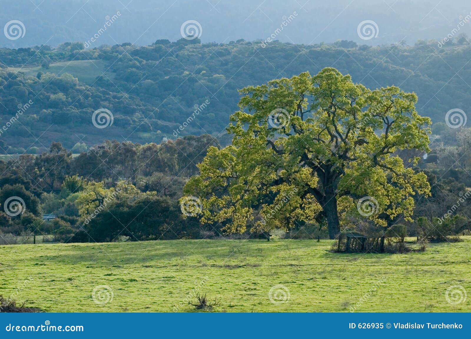 Northern California Spring Landscape Stock Image - Image of spring ...