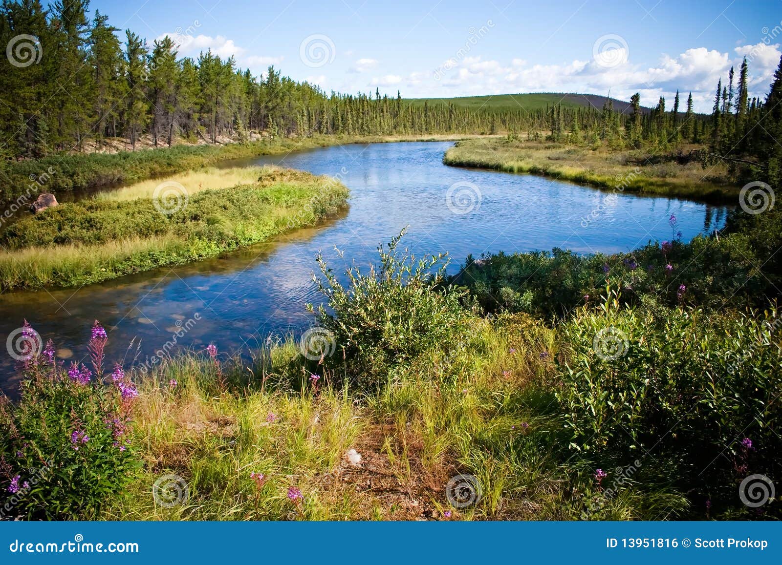 Northern Canadian River stock photo. Image of peaceful - 13951816
