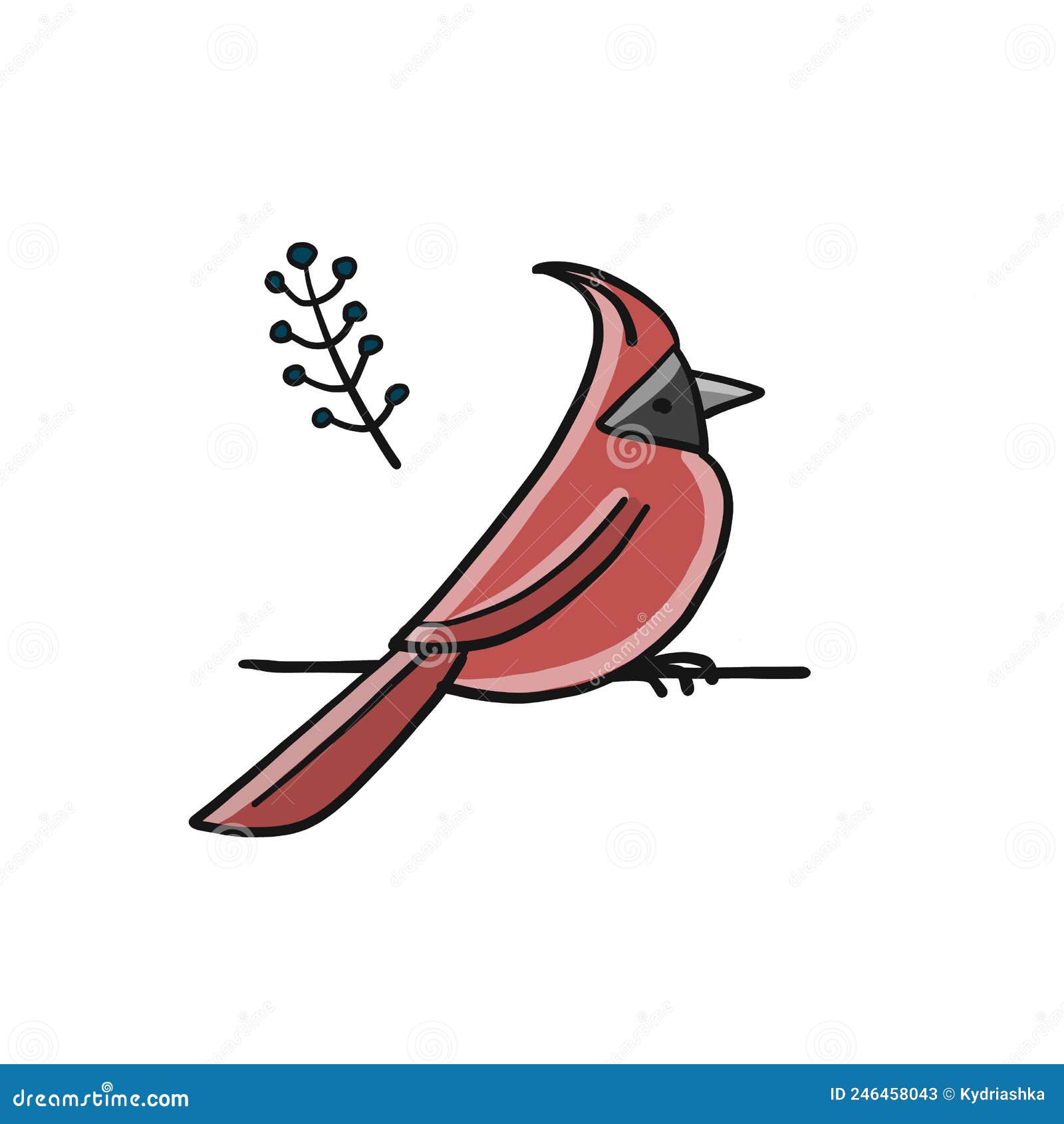 Northern Cardinal Bird Isolated on White. Sketch for Your Design Stock ...