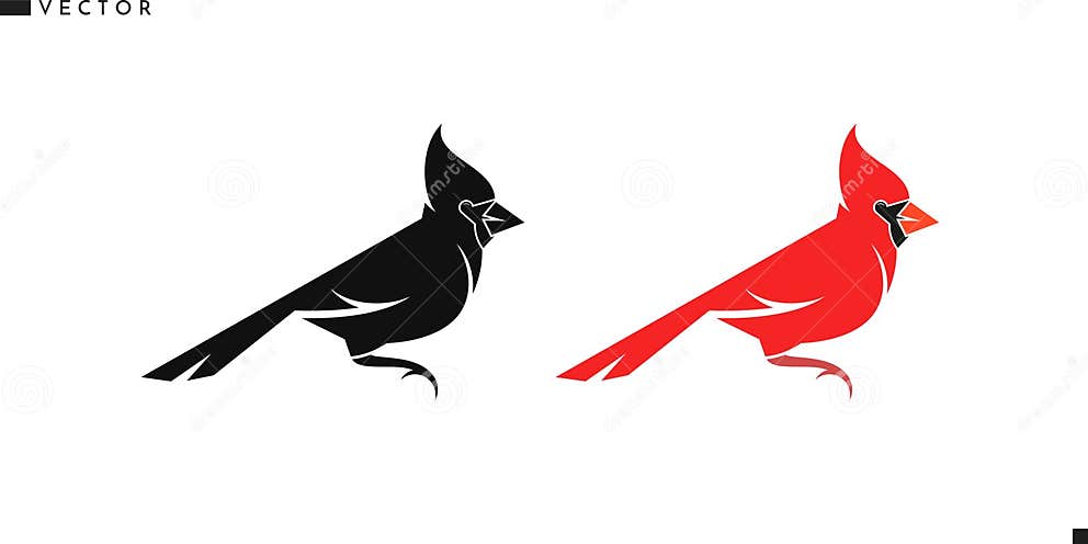 Northern cardinal bird stock vector. Illustration of cardinal - 358564353