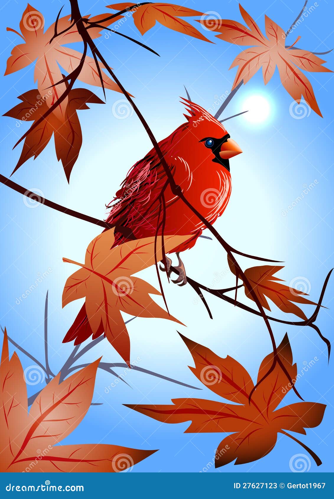 The Northern Cardinal Sitting On A Maple Branch Stock Image - Image of ...