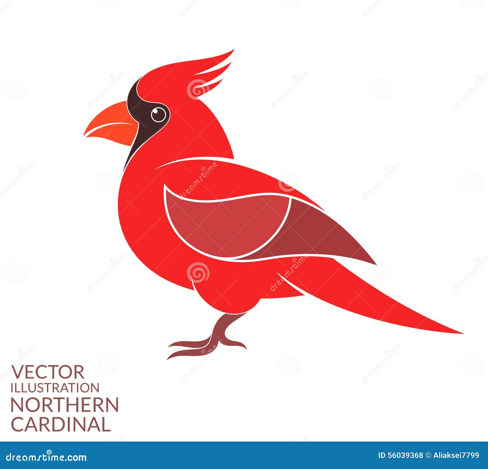 Northern Cardinal Bird Drawing Illustration Vector | CartoonDealer.com ...