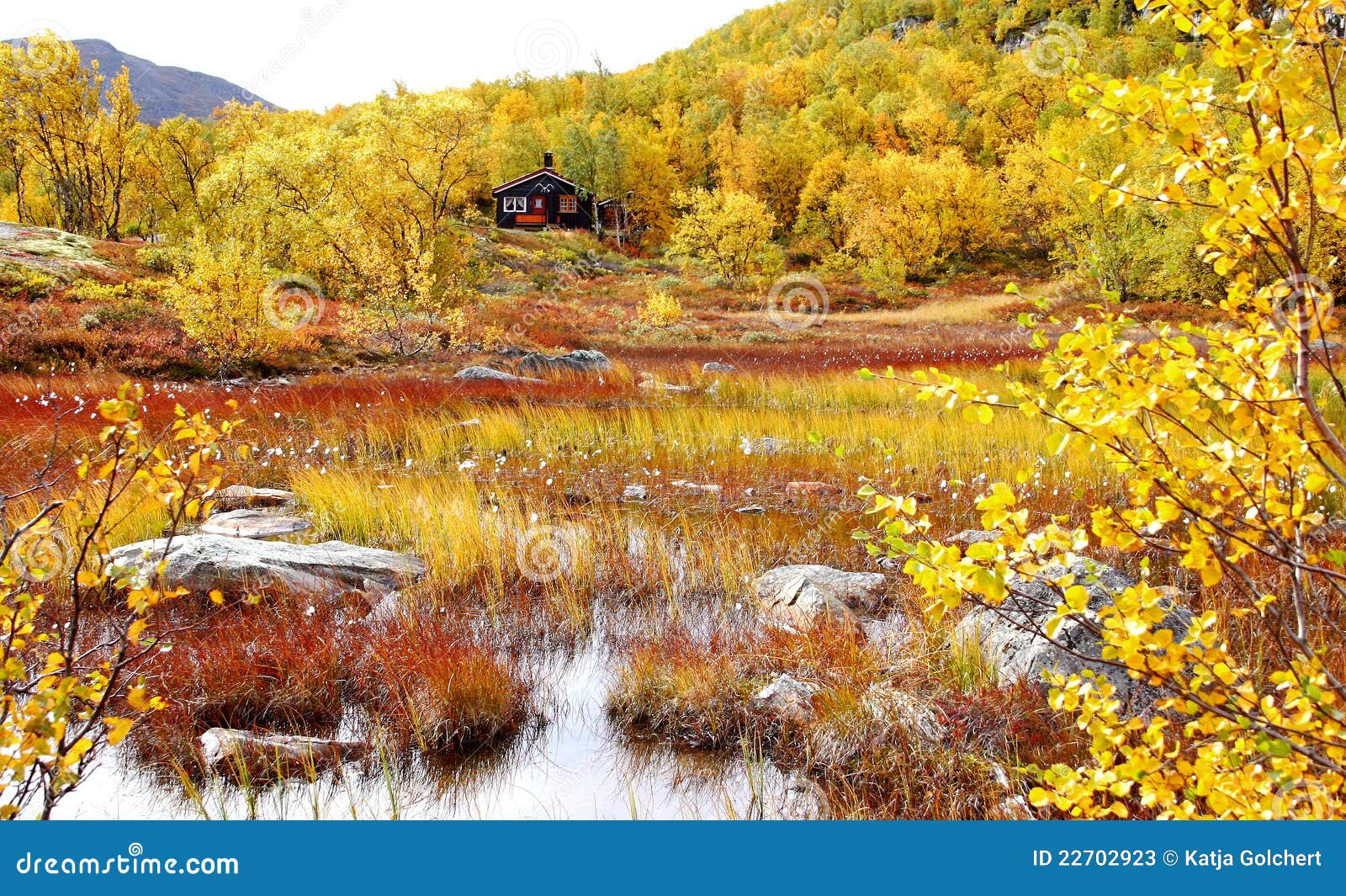 Northern Fall Foliage stock image. Image of park, landscape - 22702923