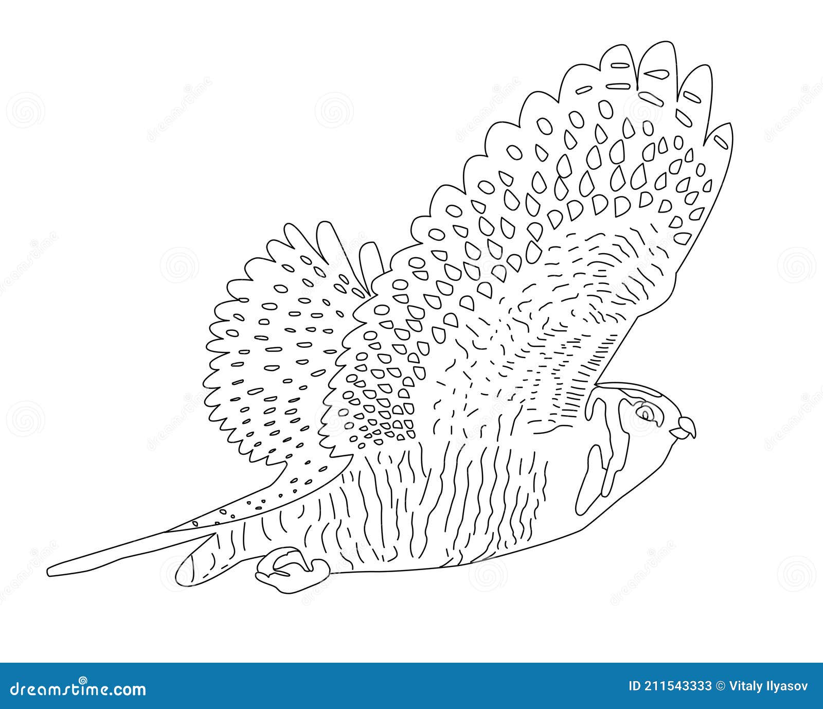 Northern Hawk Owl Line Drawing in Vector Stock Vector - Illustration of ...