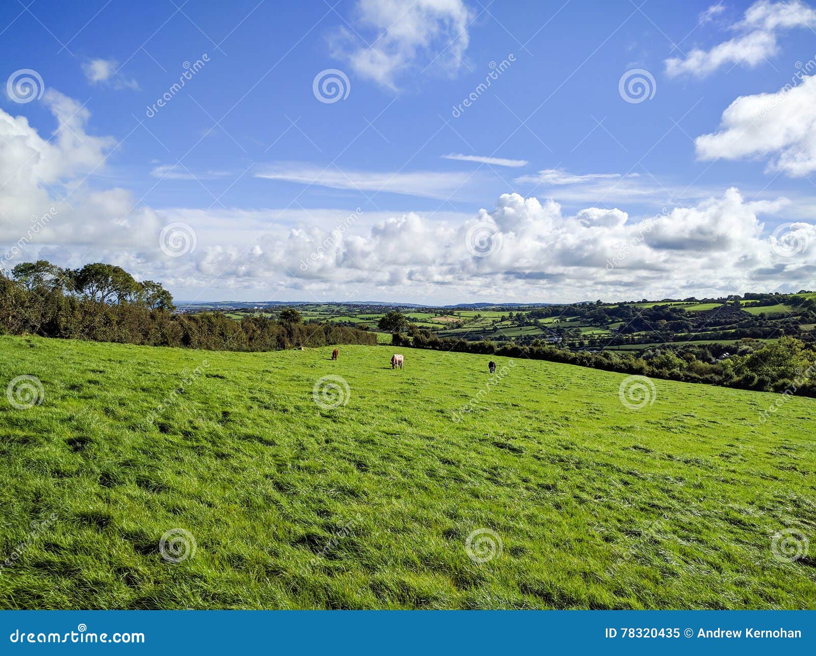 Northern Irish Countryside stock image. Image of landscape - 78320435