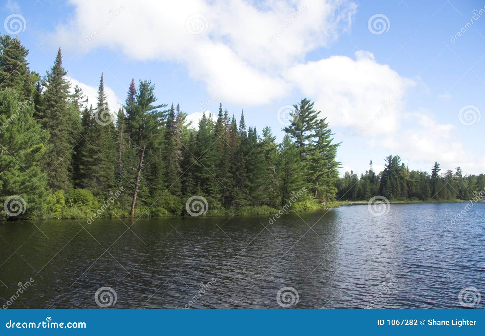 Northern Lake stock photo. Image of reflection, summer - 1067282